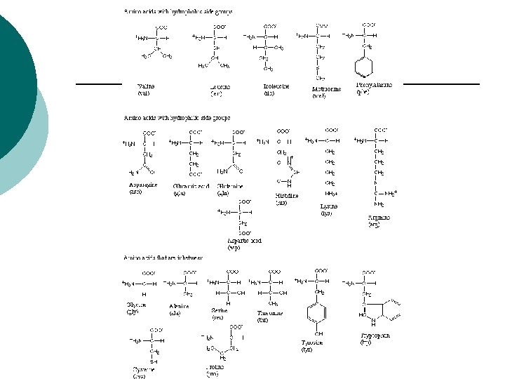 Transcription and Translation Integrated Science 3 4 Vertebrate