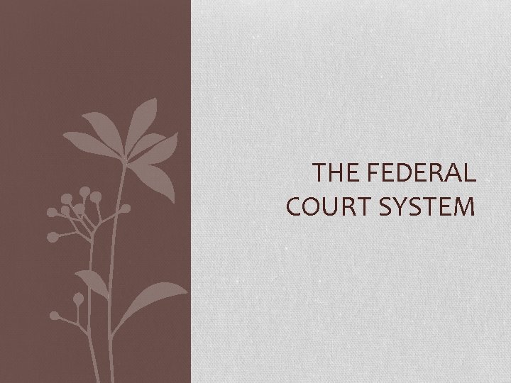 THE FEDERAL COURT SYSTEM The Adversarial System Courts