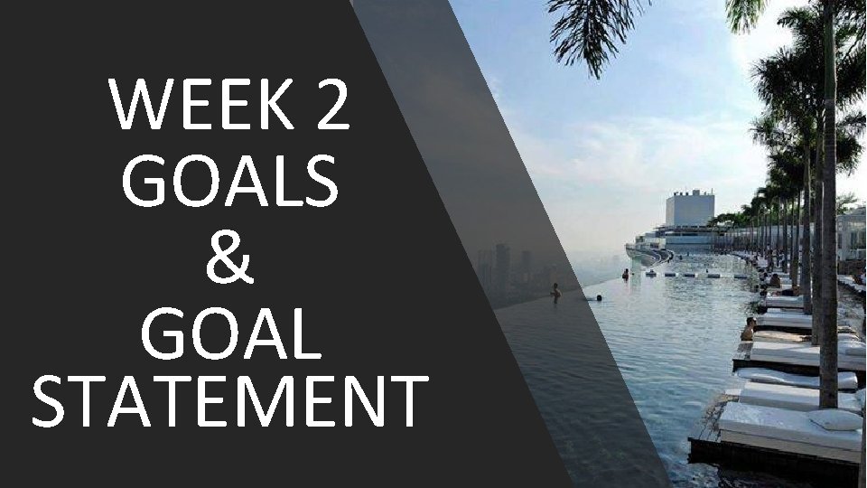 WEEK 2 GOALS GOAL STATEMENT What can Market