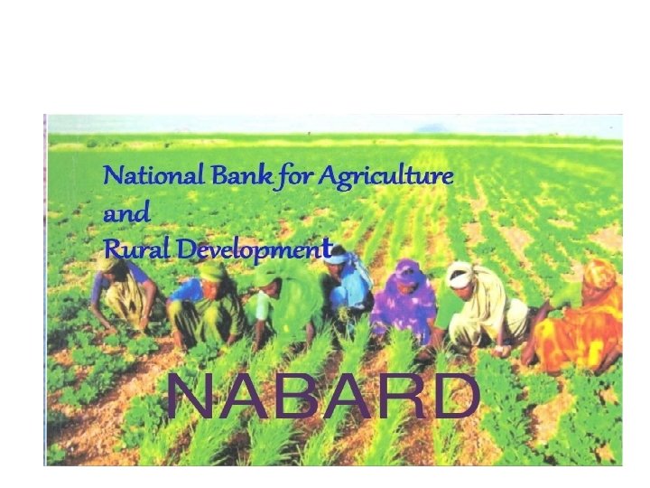 Reserve Bank of India INTRODUCTION TO RBI Established