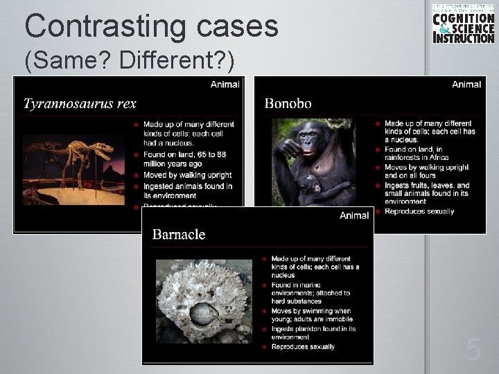 Joe Merlino Chris Schunn Tim Nokes Nora Newcombe