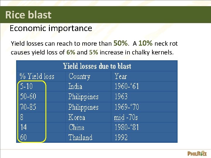 DISEASES OF RICE and their MANAGEMENT Part 1