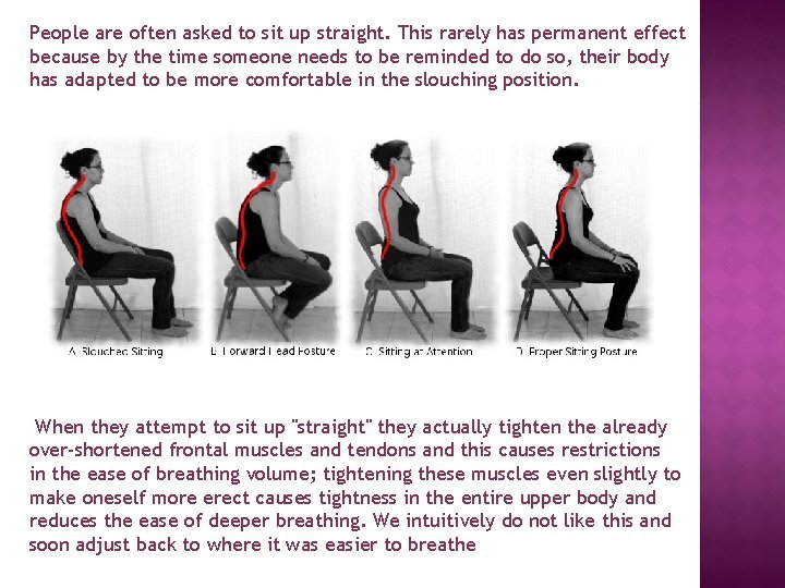 Backbone The human vertebral column is the backbone