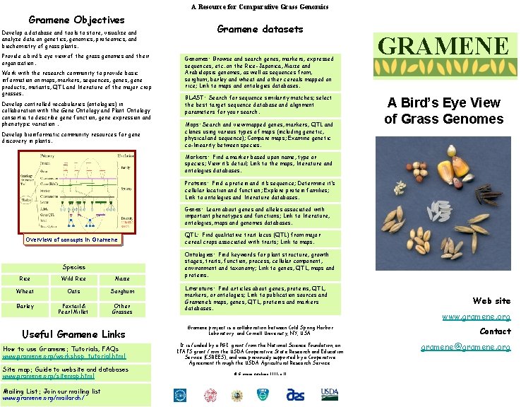 A Resource for Comparative Grass Genomics Gramene Objectives