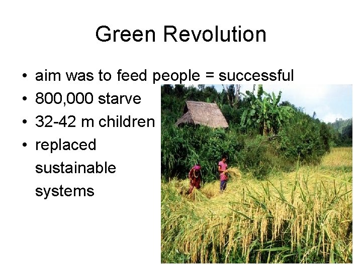 Agriculturalecology Health Sustainability and Religion Professor ...