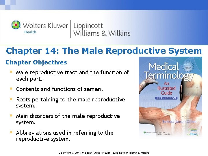 Chapter 14 The Male Reproductive System Chapter Objectives