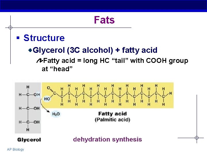 Lipids AP Biology Lipids Lipids composed of C