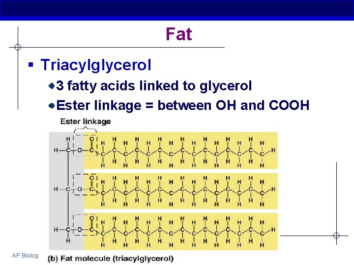 Lipids AP Biology Lipids Lipids composed of C