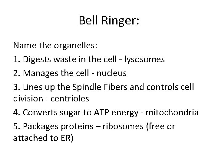 Bell Ringer Name the organelles 1 Digests waste