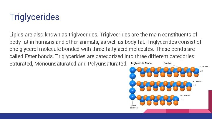 Lipids Holland Seidle Ramatoullaye Diallo Eric Blackwell Joshua