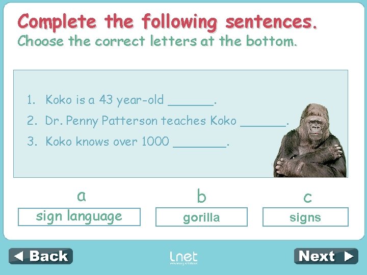 Koko The Famous Gorilla Read about Koko and