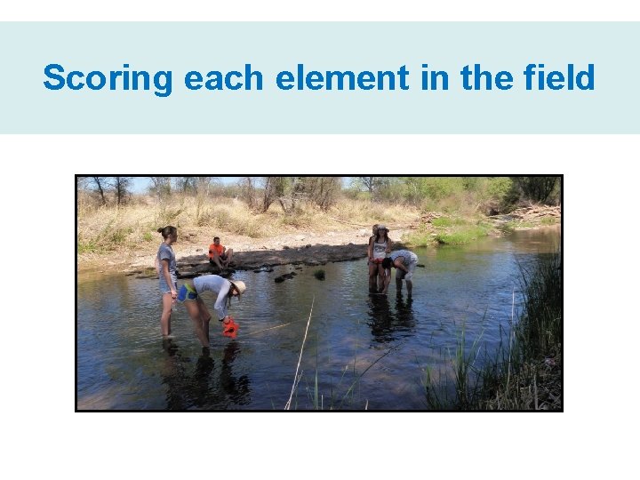 SVAP 2 Serbia Edition Stream Visual Assessment Protocol