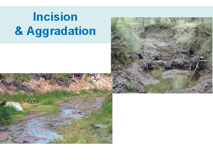 SVAP 2 Serbia Edition Stream Visual Assessment Protocol