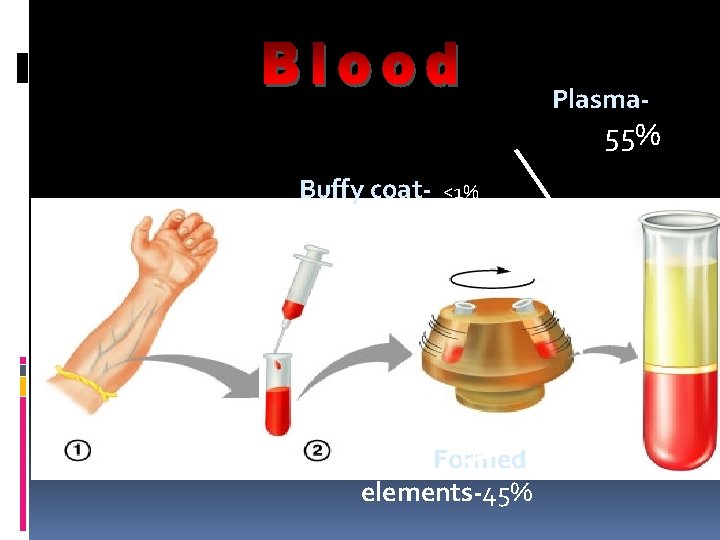 Packed cell volume PCV or Haematocrit HCT Introduction