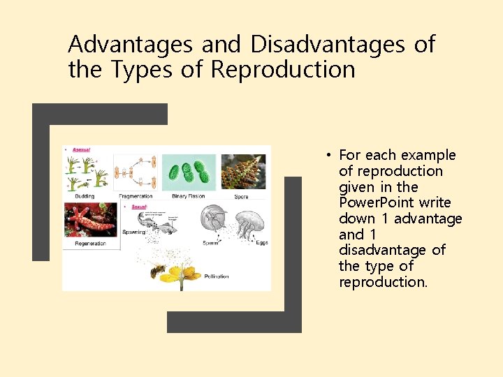 Advantages and Disadvantages of the Types of Reproduction
