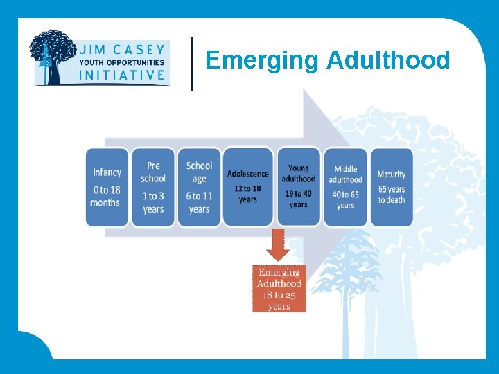 The Adolescent Brain New Research and its Implications