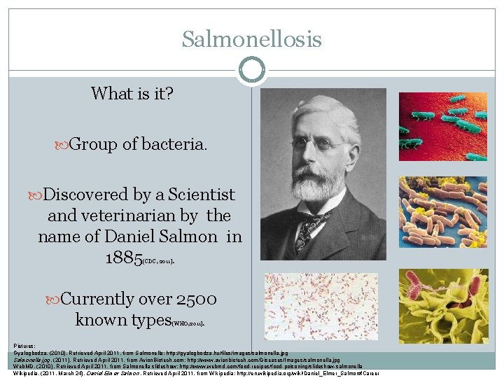 Salmonella KIMBERLY CARON RN MSN PHD STUDENT OF