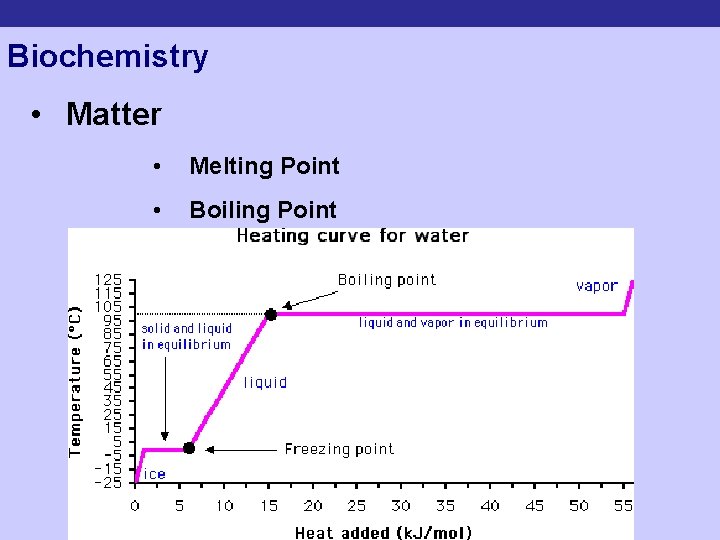 Biochemistry Chemical Reactions in Biological Systems Law of