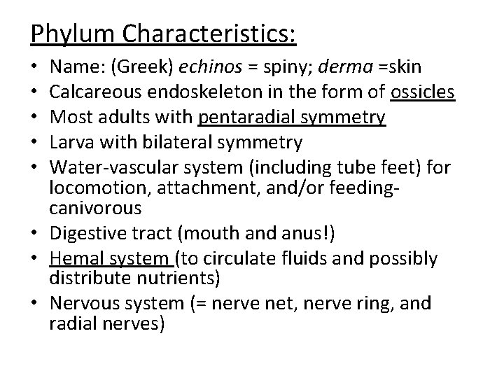 http users rcn comjkimball ma ultranetBiology PagesEechinoderms gif