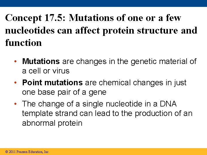 Concept 17 5 Mutations of one or a