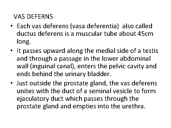 ANATOMY OF THE REPRODUCTIVE SYSTEM RITA ADJEI INTRODUCTION