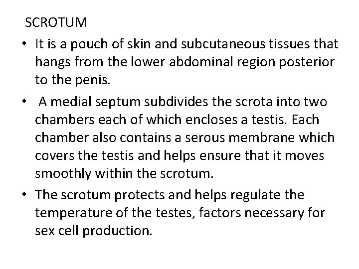 ANATOMY OF THE REPRODUCTIVE SYSTEM RITA ADJEI INTRODUCTION