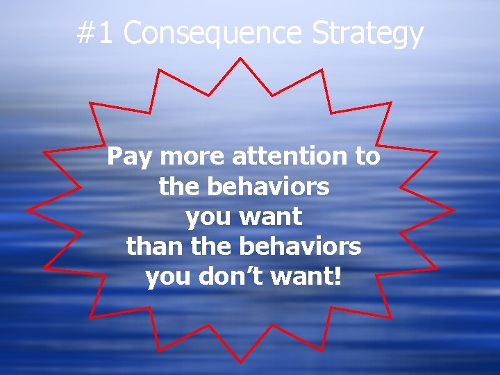 Social Development St Maximilian Kolbe Parents Group April