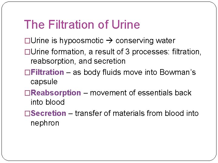 The Formation of Urine SBI 4 U January