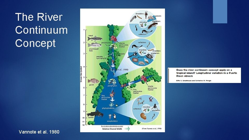WG 2 Ecology and Biodiversity Freshwater Ecosystems SOFIA