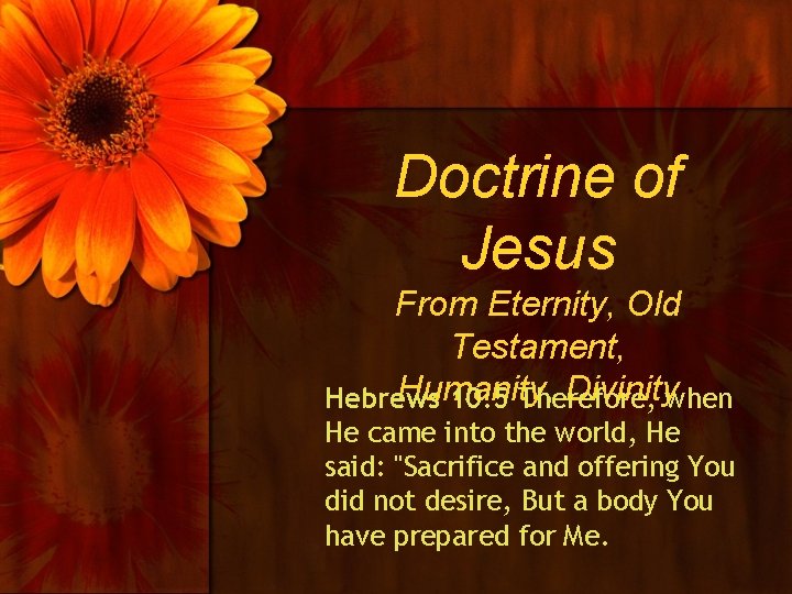 Doctrine of Jesus From Eternity Old Testament Humanity
