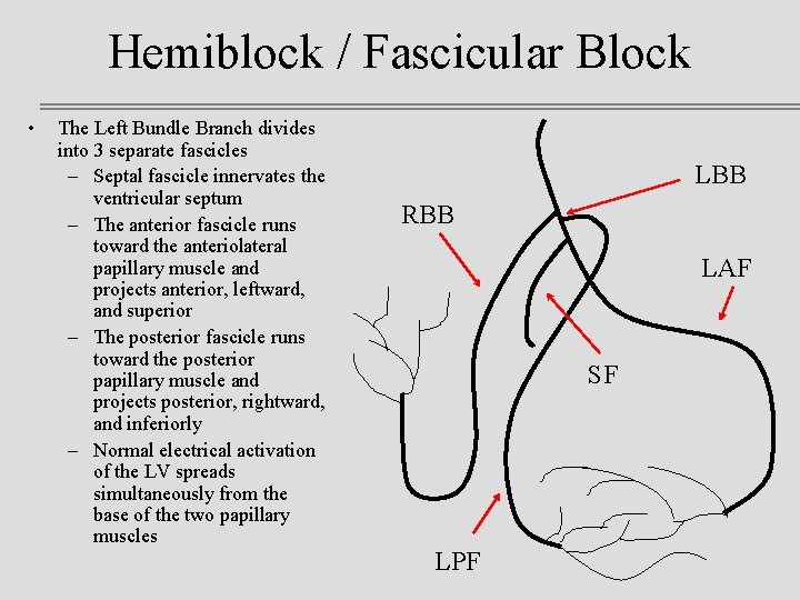 Bundle Branch Blocks and Hemiblocks Take Home Points