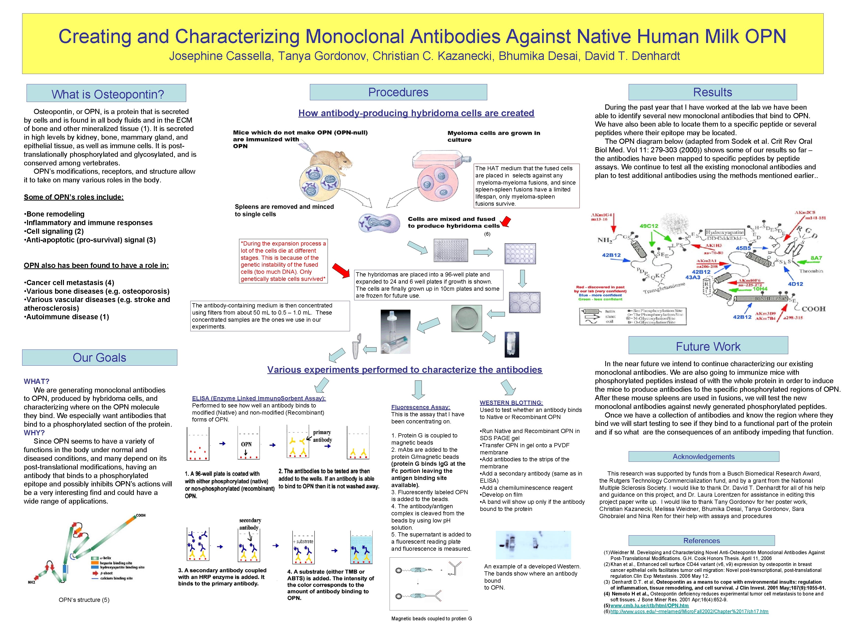 Creating and Characterizing Monoclonal Antibodies Against Native Human