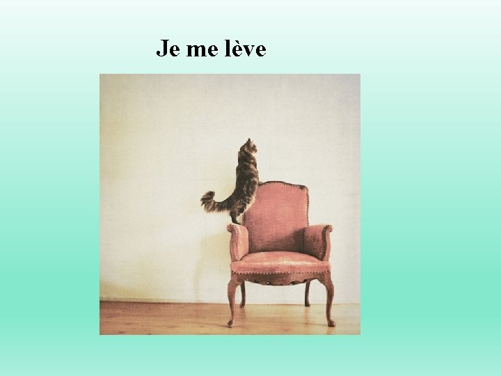 Ma Routine Quotidienne my daily routine Communication 1