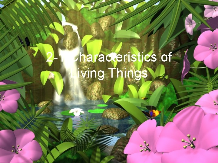 2 1 Characteristics of Living Things 1 Made