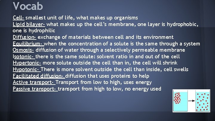 Cell Physiology By Devon Gurule Tyler Brackman Sophie
