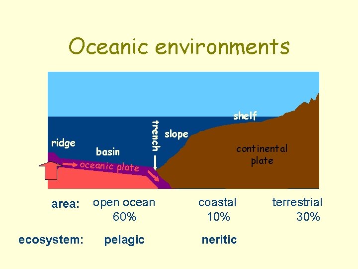 Oceanic ecosystems 1 Tectonics and ocean basin evolution
