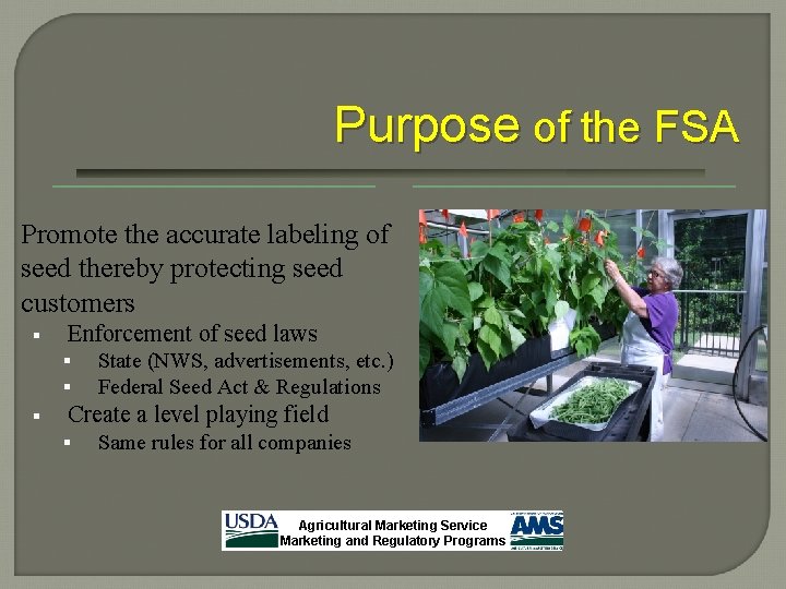 Seed Regulatory Testing Division Regulation of Prohibited and