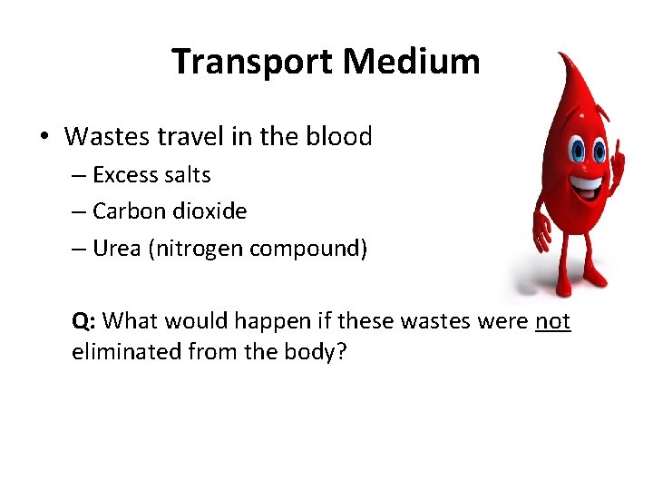 Aim How does our Bodys Excretory System Maintain