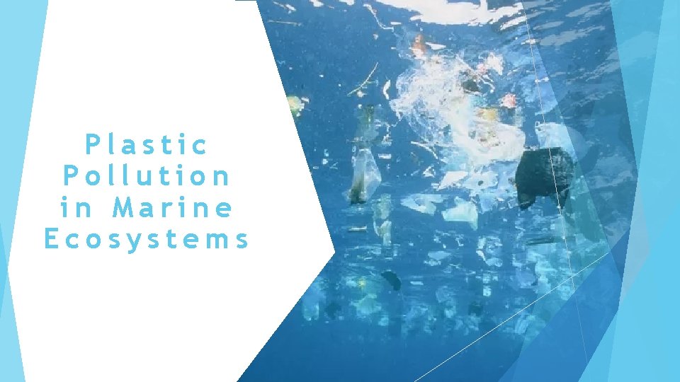 Plastic Pollution in Marine Ecosystems History 1869 synthetic