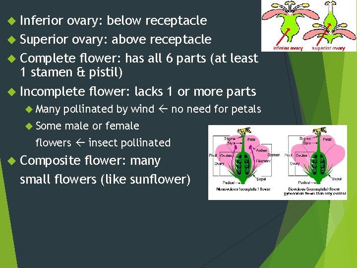 14 B2 Sexual Reproduction in Plants Produces new