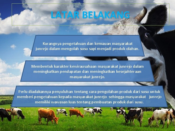 KASUSI Kampung Susu Sapi Optimalisasi Olahan Susu Sapi