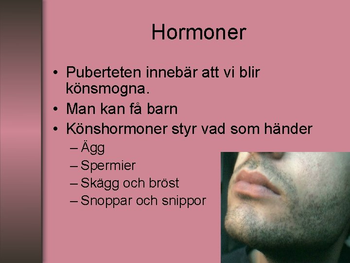 Puberteten Kroppen frndras Hormoner Puberteten innebr att vi