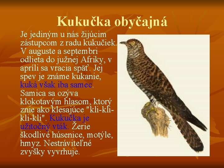 Lesn ivochy 4 ronk Mgr Andrea Nociarov OBSAH