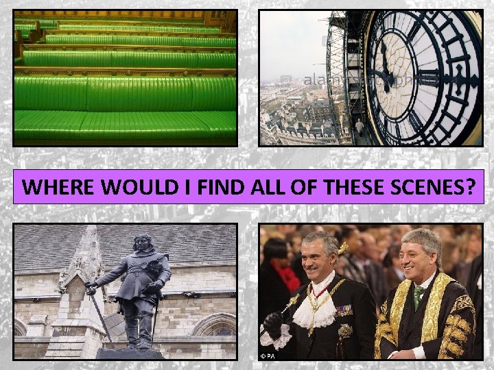 WHERE WOULD I FIND ALL OF THESE SCENES