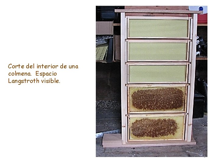 Medidas de los materiales de colmena para trabajar