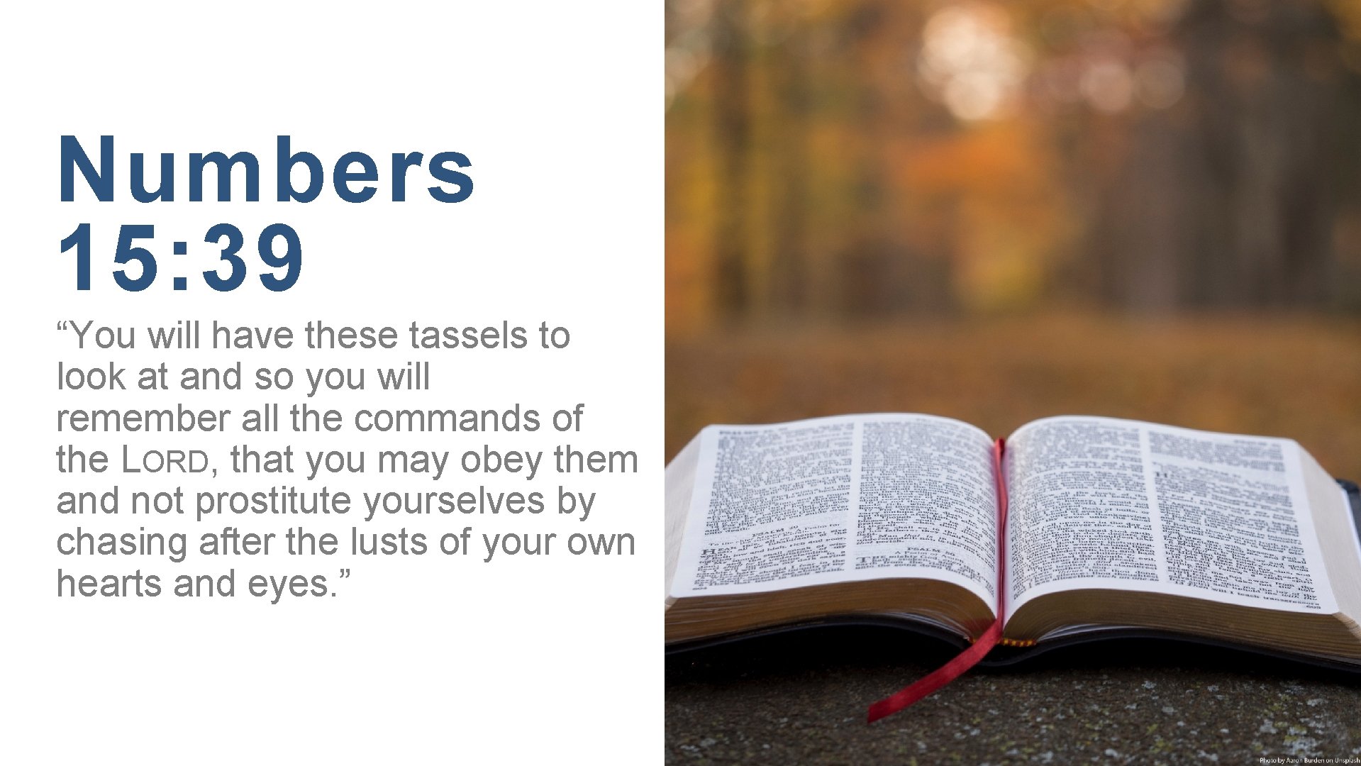 Remembering the Miracles Bible Correspondence Special Sabbaths Dr