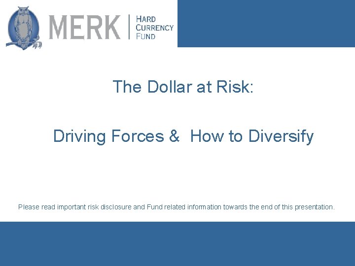 The Dollar at Risk Driving Forces How to