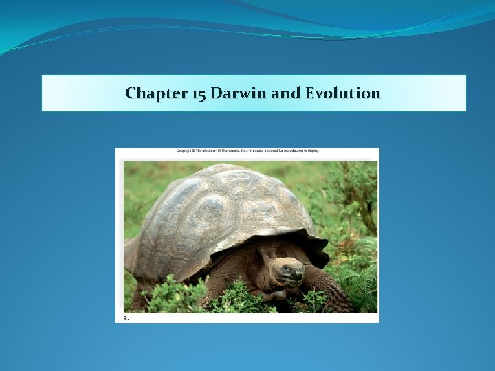 Chapter 15 Darwin and Evolution Course Objectives Describe