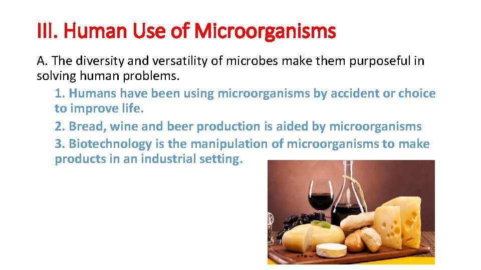 Chapter 1 The Main Themes of Microbiology I