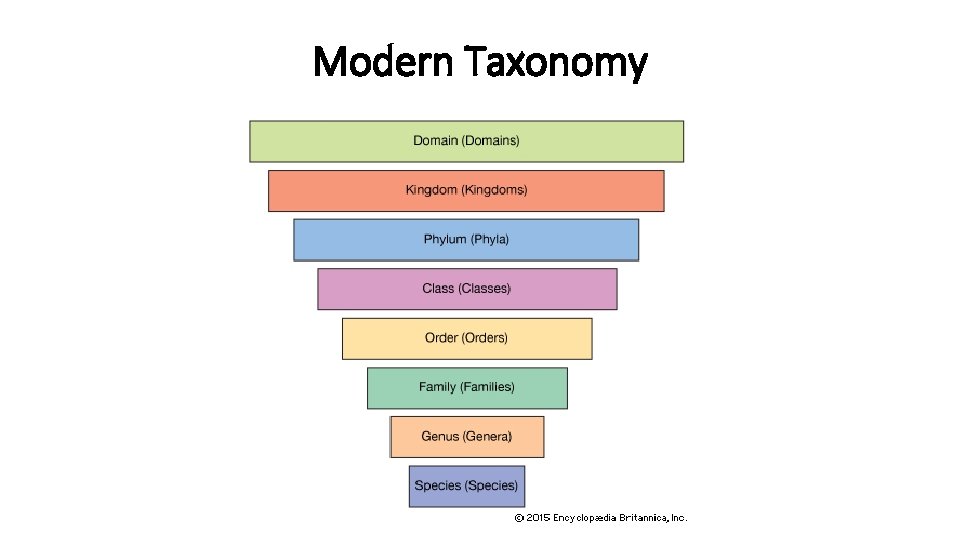 Chapter 1 The Main Themes of Microbiology I